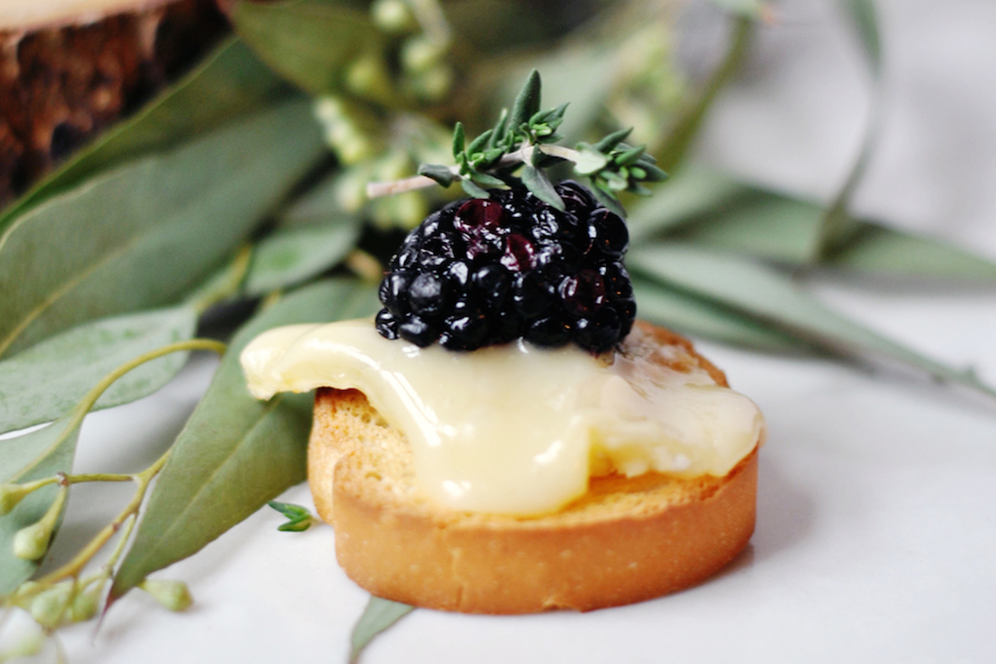 Very Berry Brie Bites – Girls' Night Out Wines